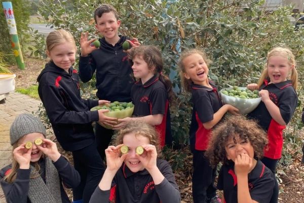 Shelford Primary School